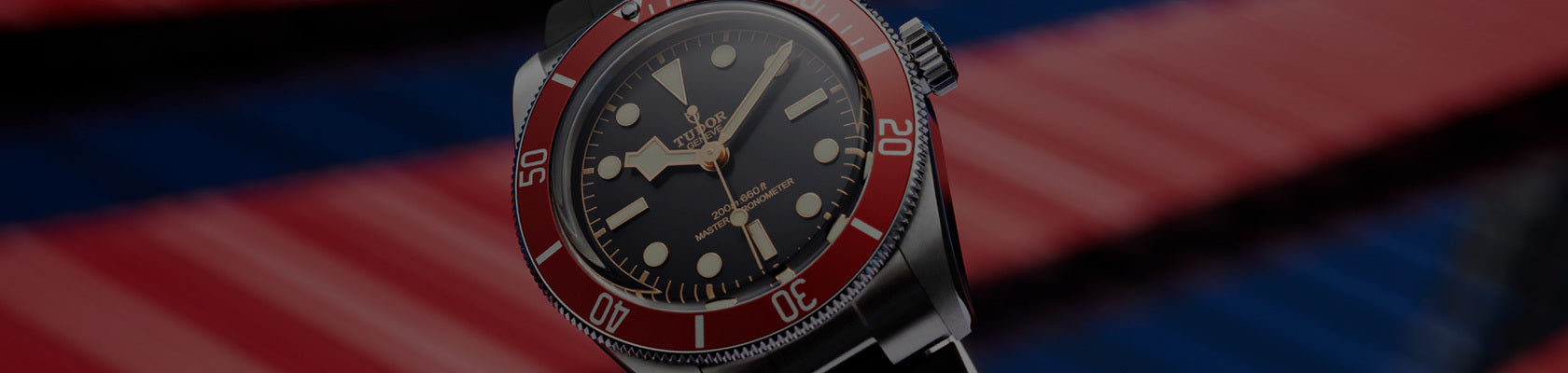 TUDOR – Page 2 – Sensation Du Temps Uruguay